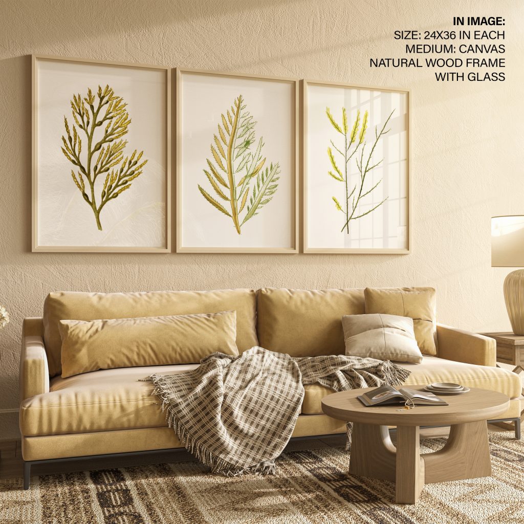Seaweed set of 3 - Wall Art, Hanging Wall Decor, Home Decor - BestOfBharat