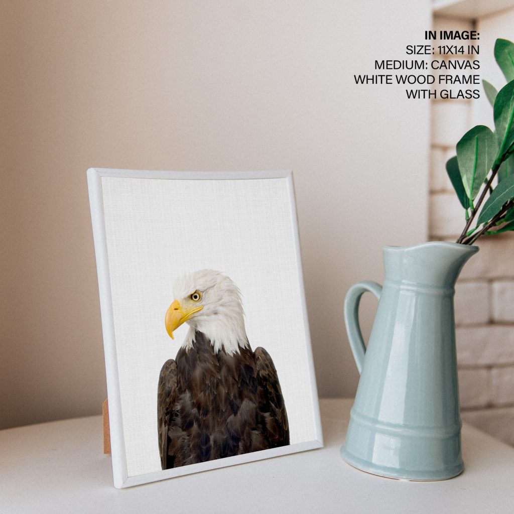 Bald Eagle Print, American Eagle Wall Art Poster, framed art, Hawke ...