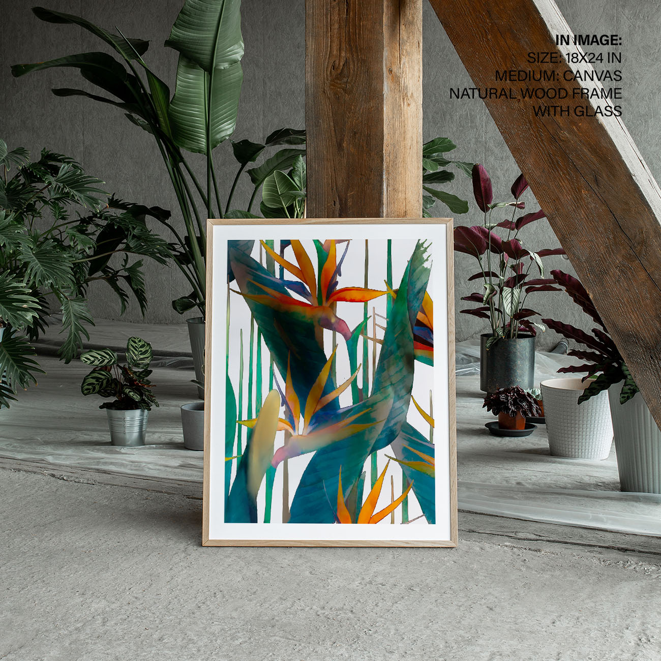 Abstract minimalistic botanical flowers - Wall Art Decor, Framed ...