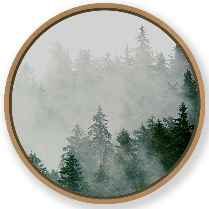 Large Foggy Forest Framed Nature Art, Modern Art - Choose Size and ...