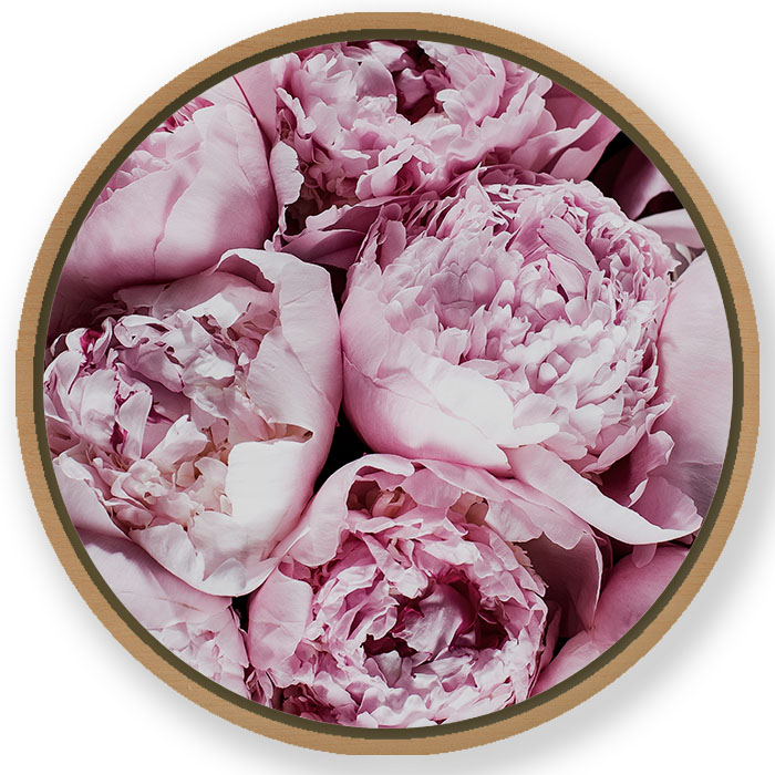 framed art Peony, Bedroom Wall Decor, Peony Art Print, Pink Floral ...