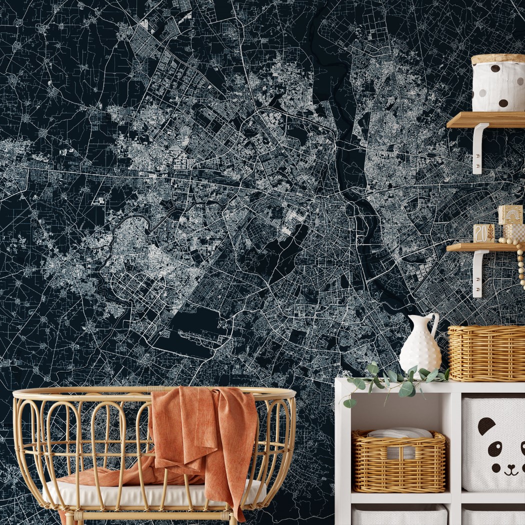 Delhi Map Wall Mural - Asphalt blue, Mural Wallpaper, PVC Free, Non ...