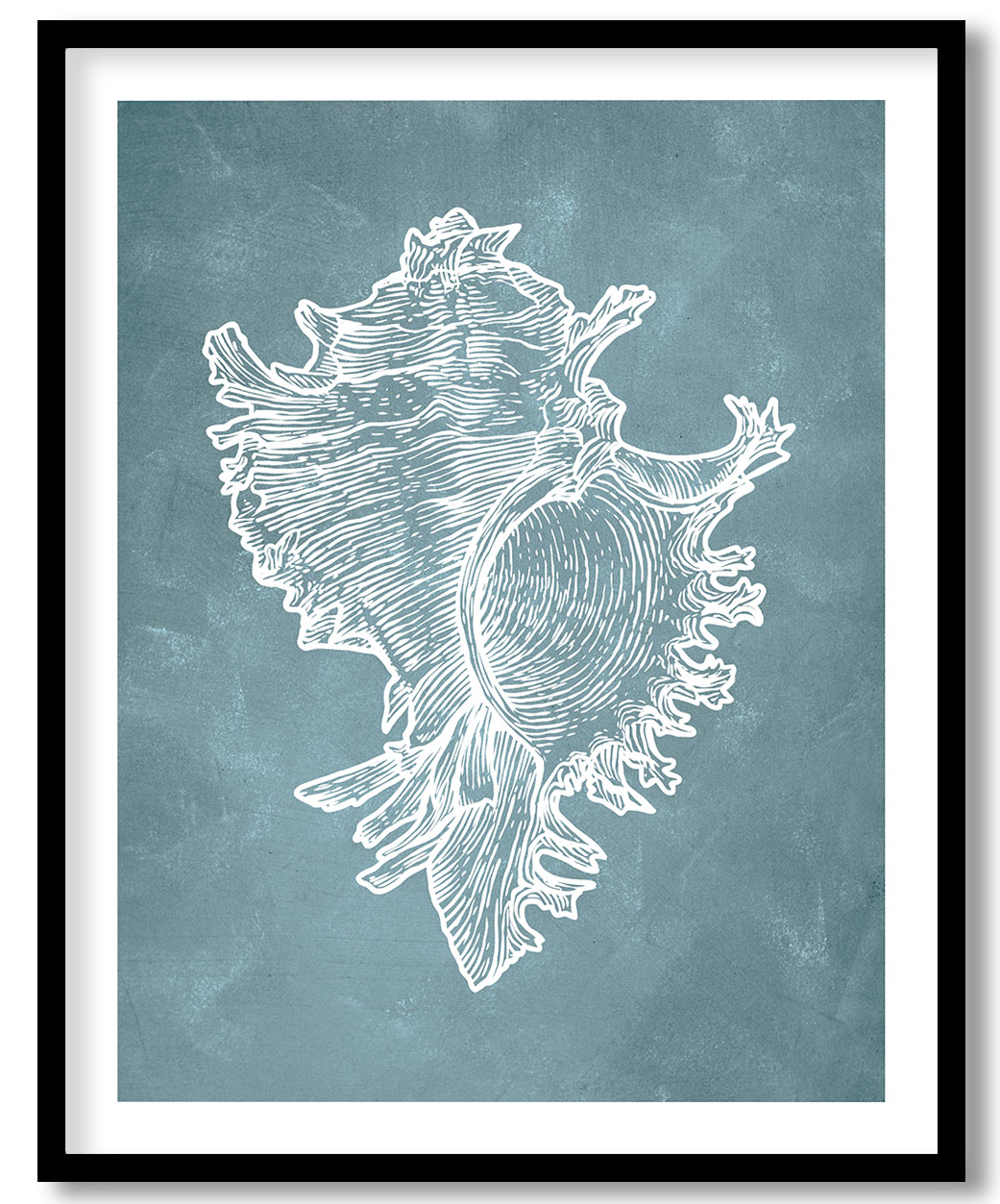 Blue hand drawn seashell #20 - Wall Art, Hanging Wall Decor, Home Decor ...