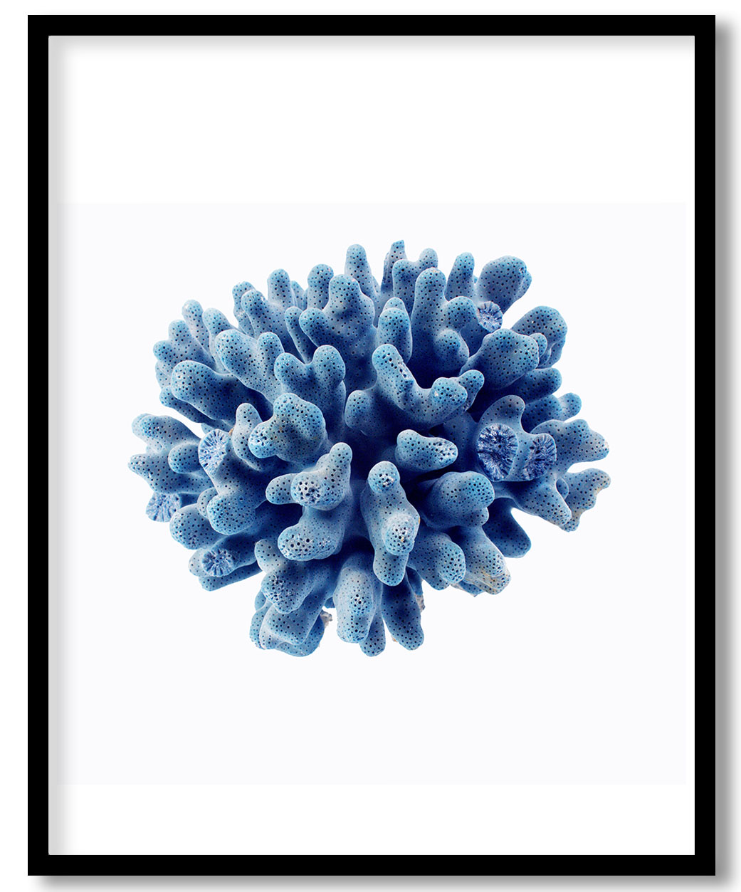 Blue coral - Wall Art, Hanging Wall Decor, Home Decor - BestOfBharat