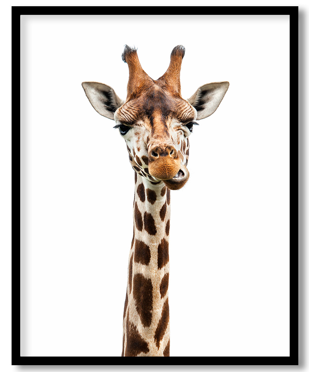 Giraffe face - BestOfBharat