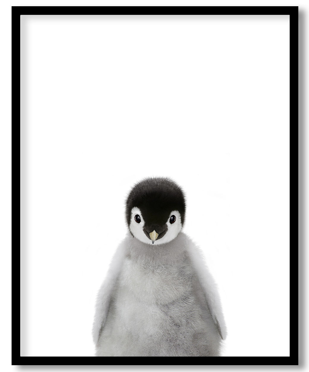 Baby penguin print, Zoo animal nursery, Baby animals nursery art, Baby ...