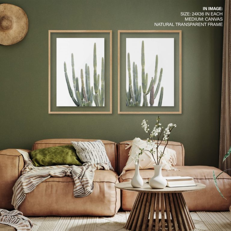 Cactus Framed Wall Art (Set of 2), Botanical Art, Nature Art, Modern ...