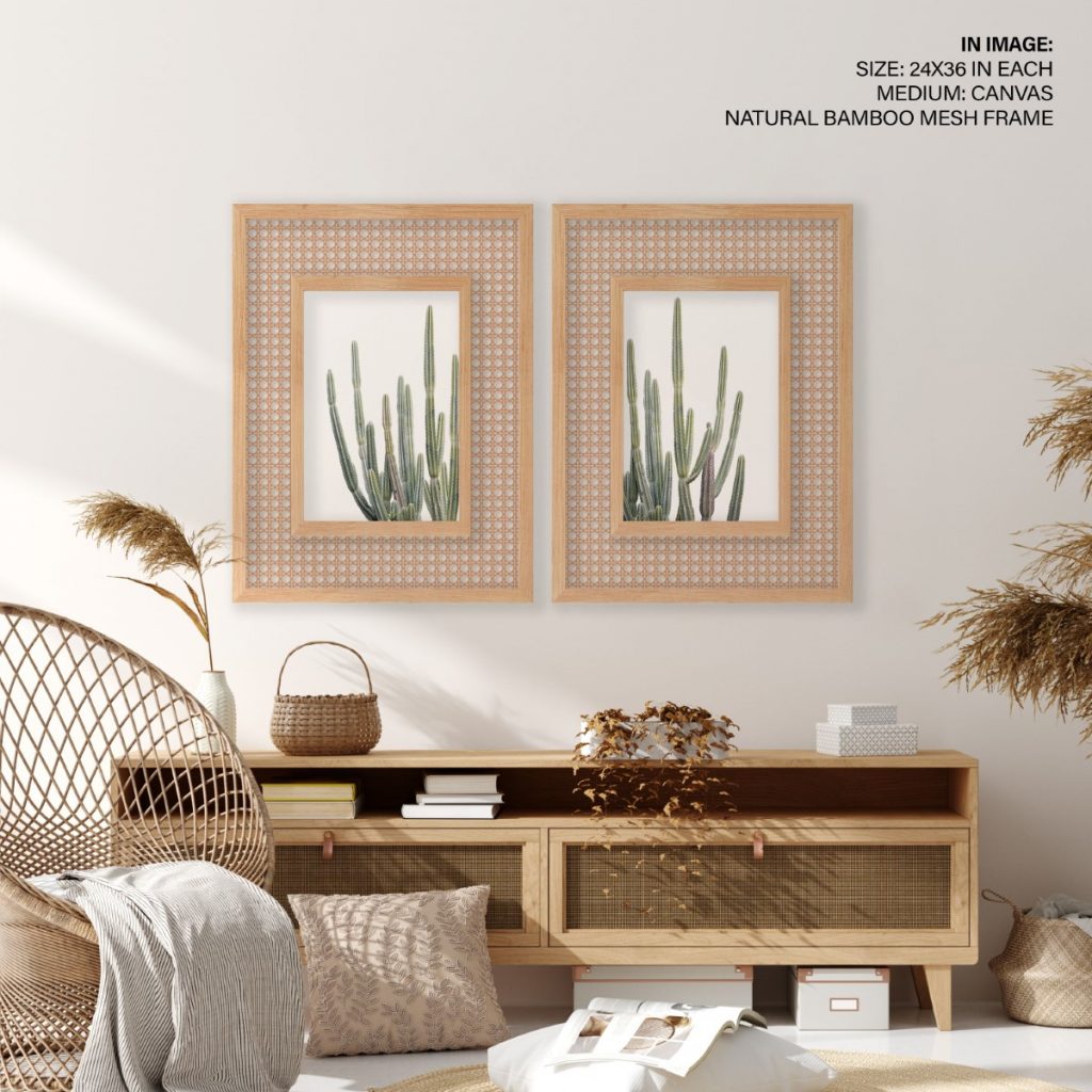 Cactus Framed Wall Art (Set of 2), Botanical Art, Nature Art, Modern ...