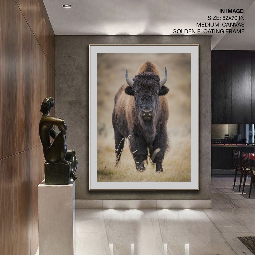 American bison - Wall Art - 10+ Sizes, 50+ Frames, Museum Quality ...