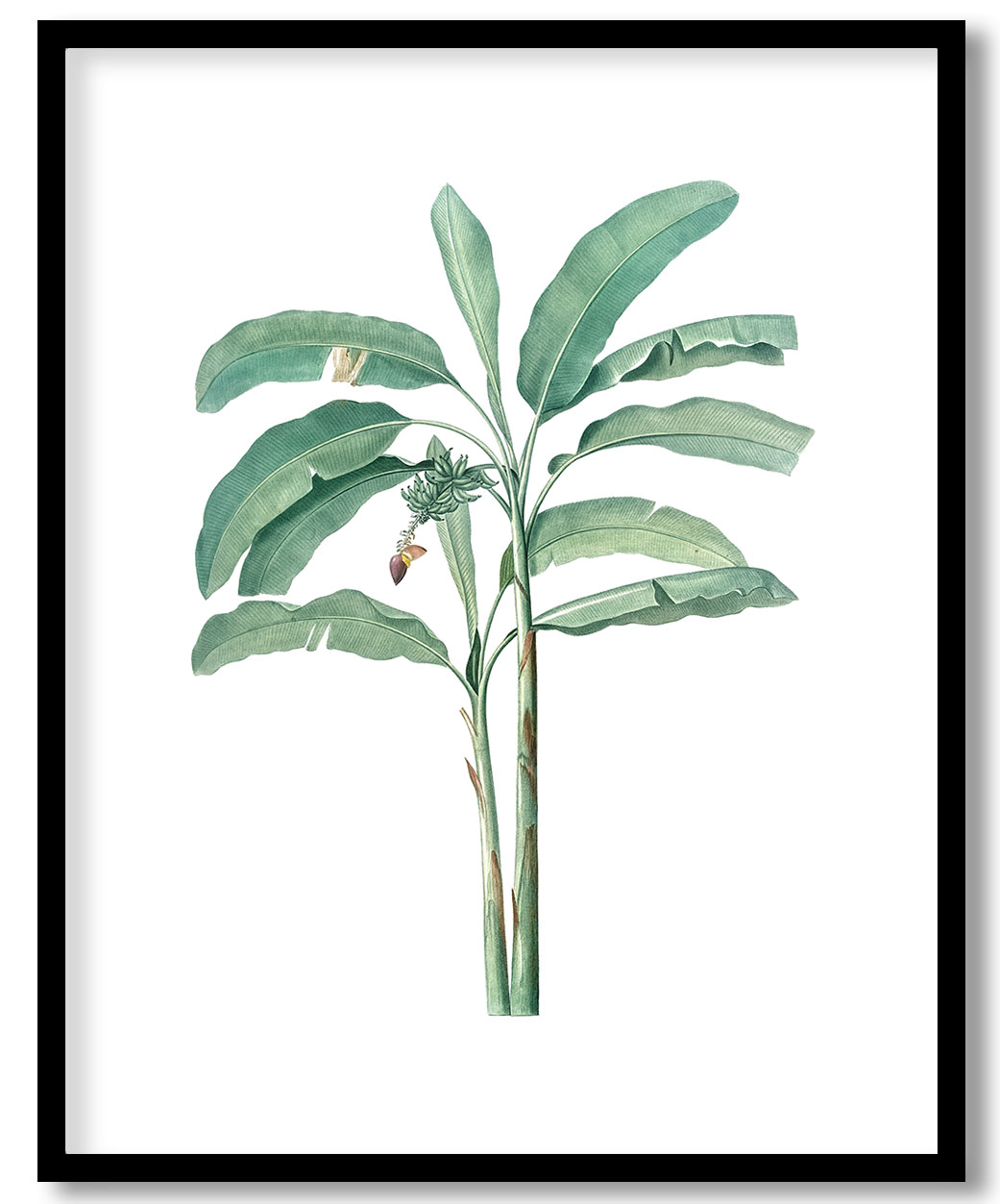 Vintage Banana tree - BestOfBharat