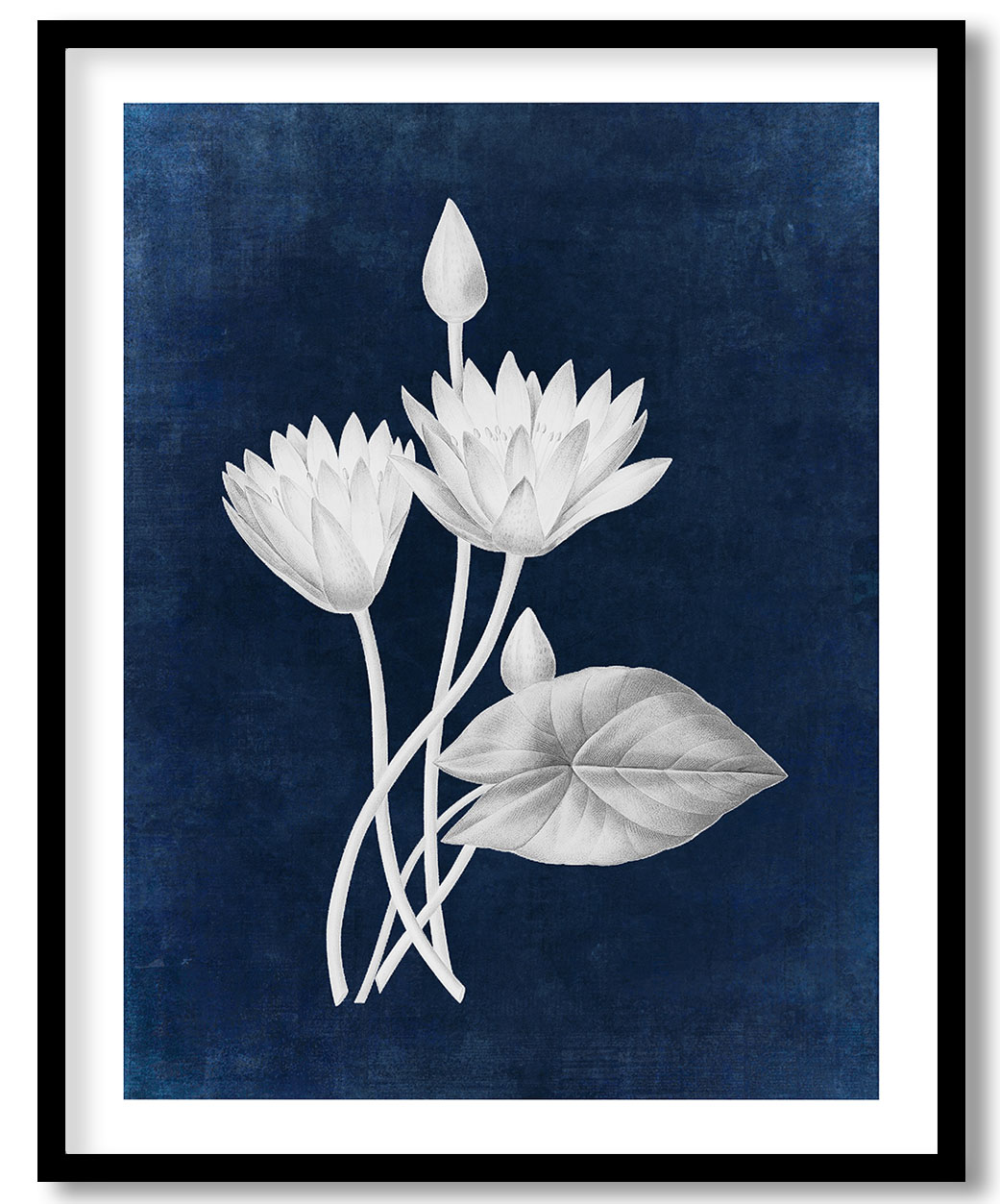 Egyptian lotus flower botanical - Indigo Pressed - BestOfBharat