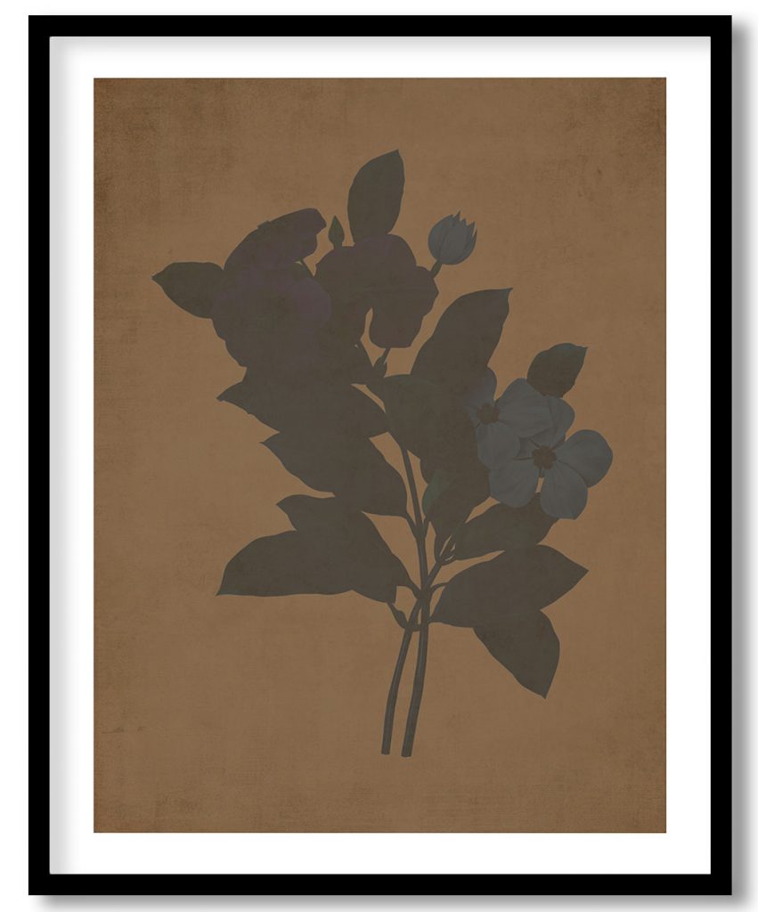 Wall Art | Periwinkle flower botanical - Walnut Pressed | Small to XXXL ...