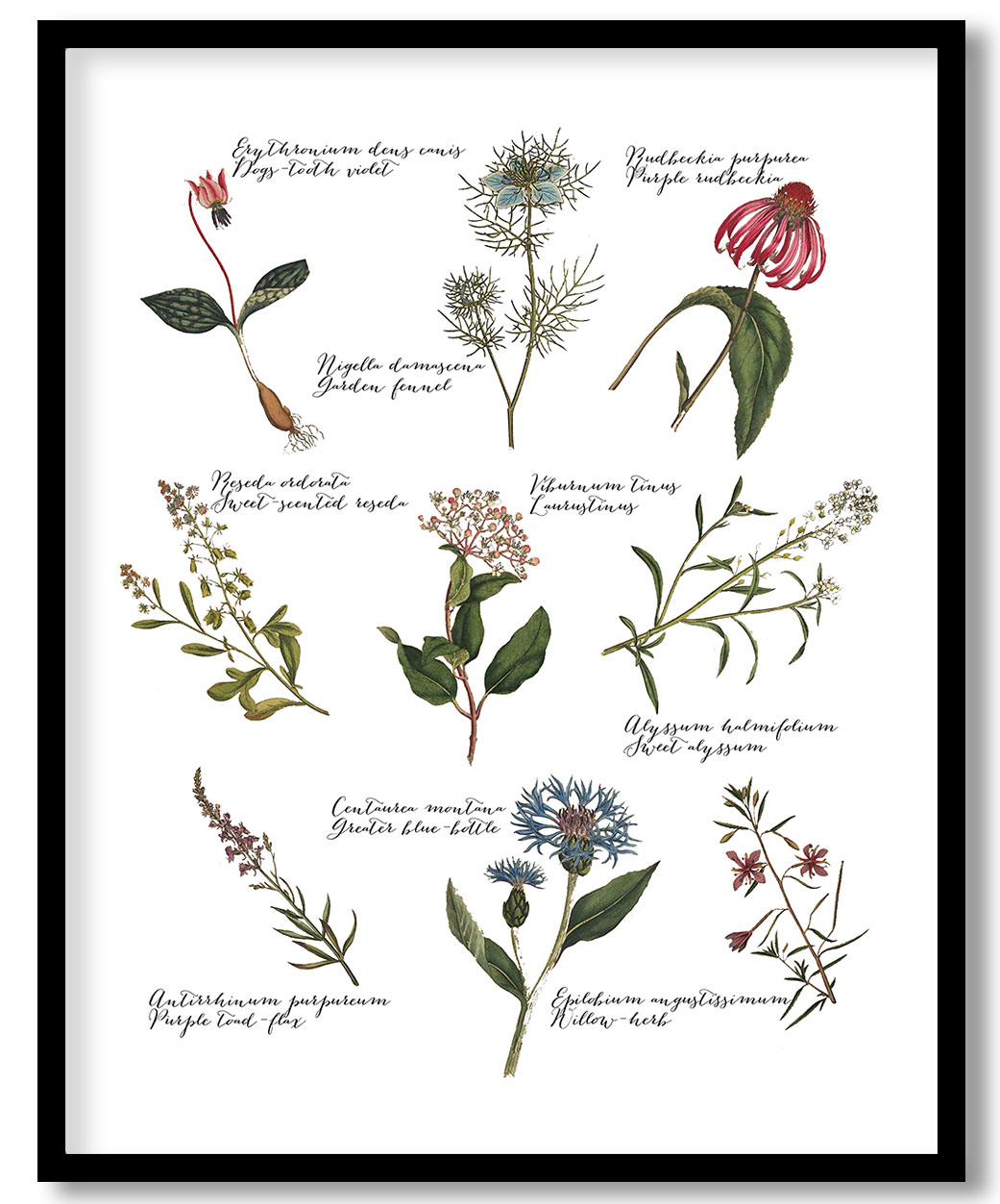 Art typography framed art vintage wildflowers wall decor poster ...