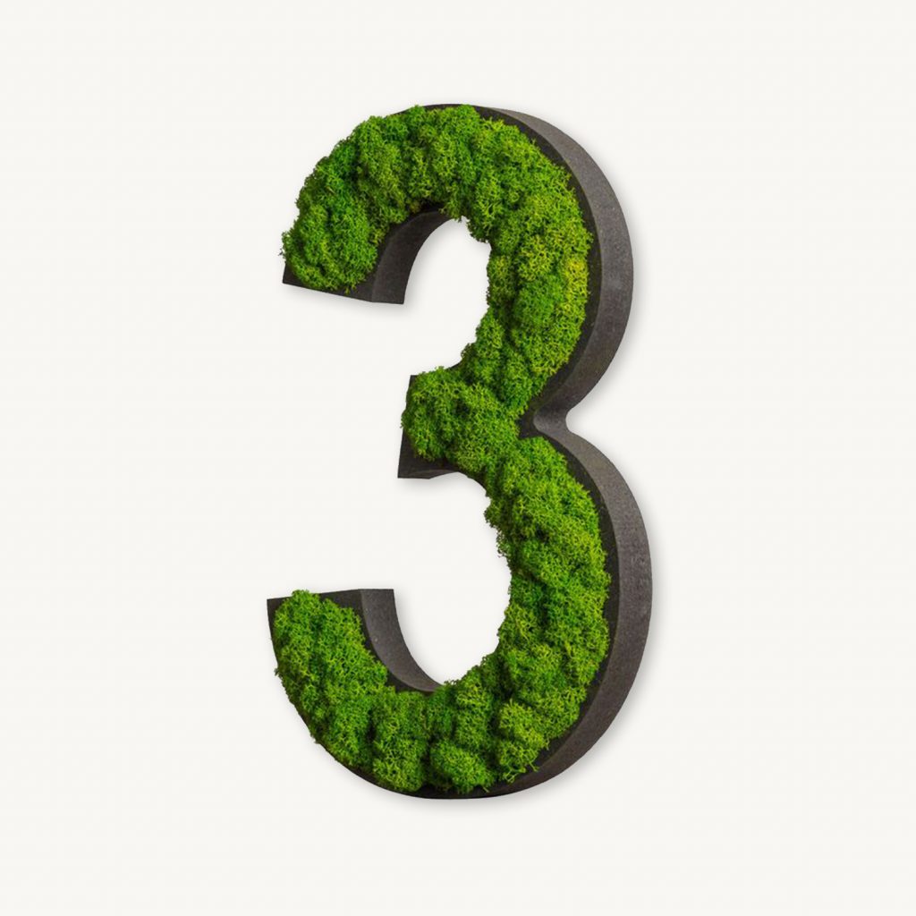 Custom 3D Moss Lettering Wall Sculpture - BestOfBharat