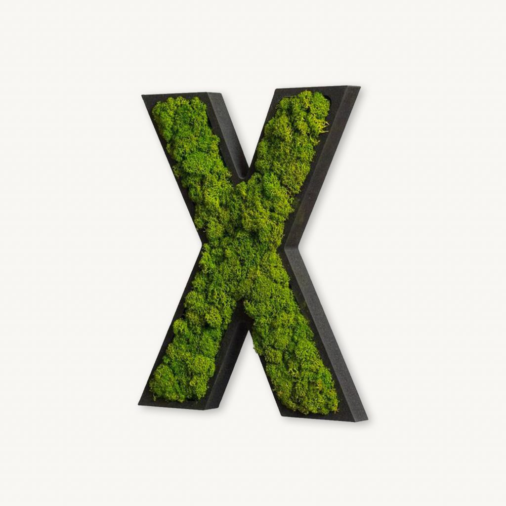 Custom 3D Moss Lettering Wall Sculpture - BestOfBharat