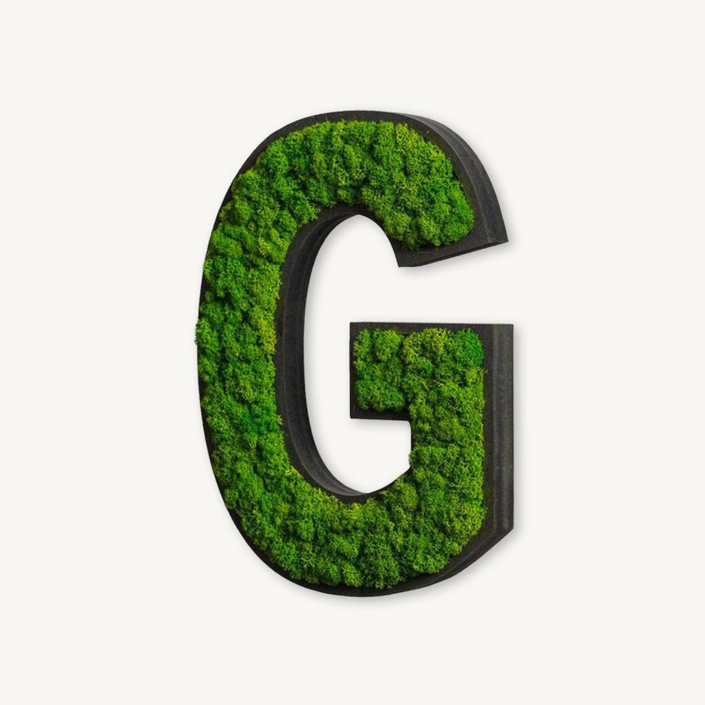 Custom 3D Moss Lettering Wall Sculpture - BestOfBharat