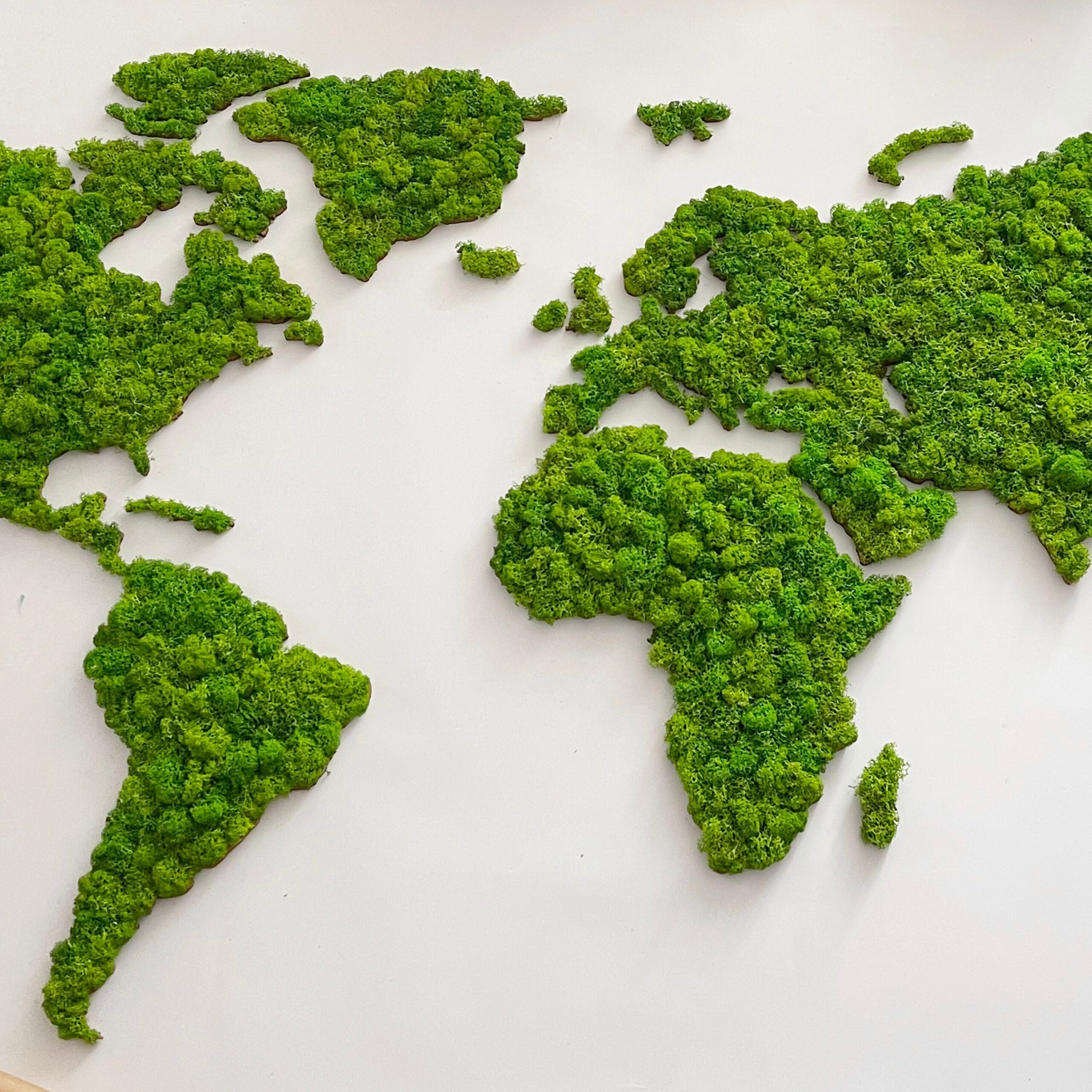 Global Greenery: A World Map Crafted from Weed Moss - BestOfBharat