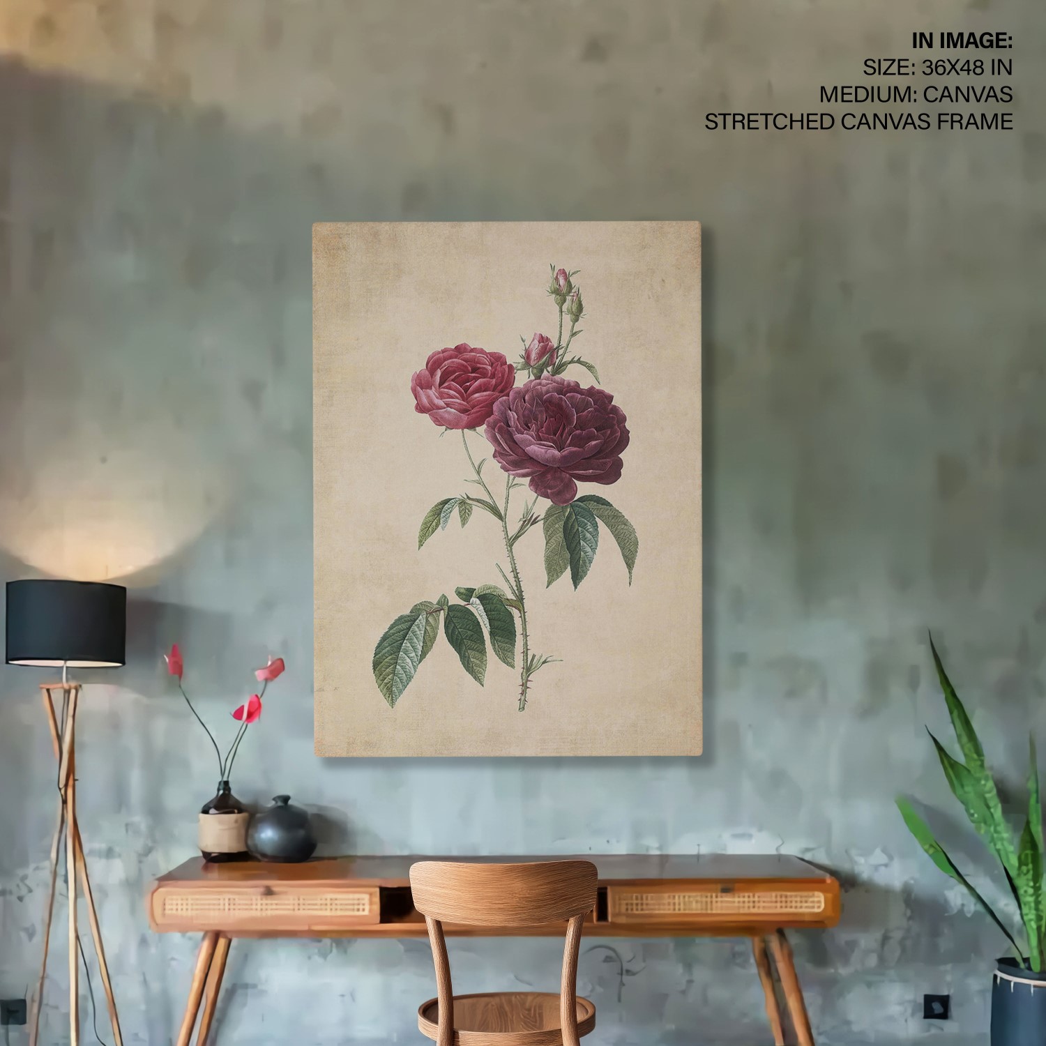 Purple French Rose, Rosa gallica purpuro-violacea magna - Pressed ...